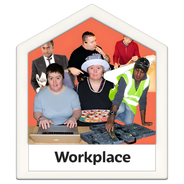 Supported Employment - ArcNI